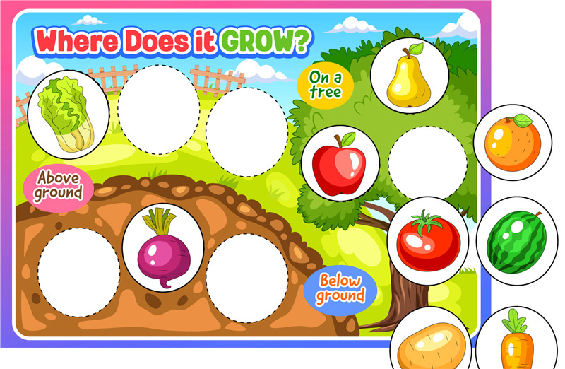 Where Do Fruits and Vegetables Grow? Matching Worksheet. TeachersMag.com