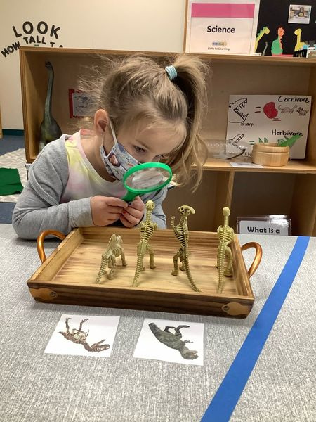 Paleontology Activities for Kids. TeachersMag.com
