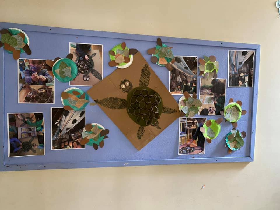 Turtle Exploration Week Mixed Media Project. TeachersMag.com