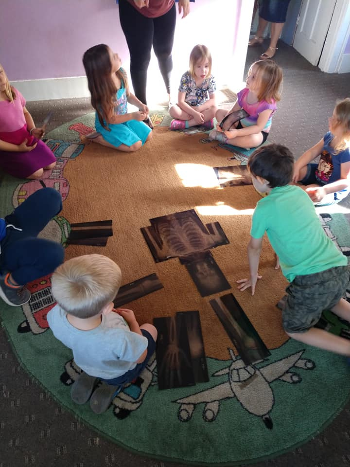 Learning About Bones and Putting Together an X-Ray Skeleton ...