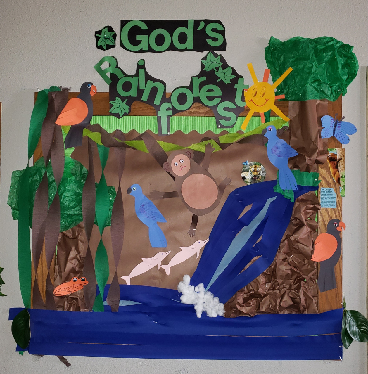 Rainforest Classroom Door Ideas at Tonya Peterson blog