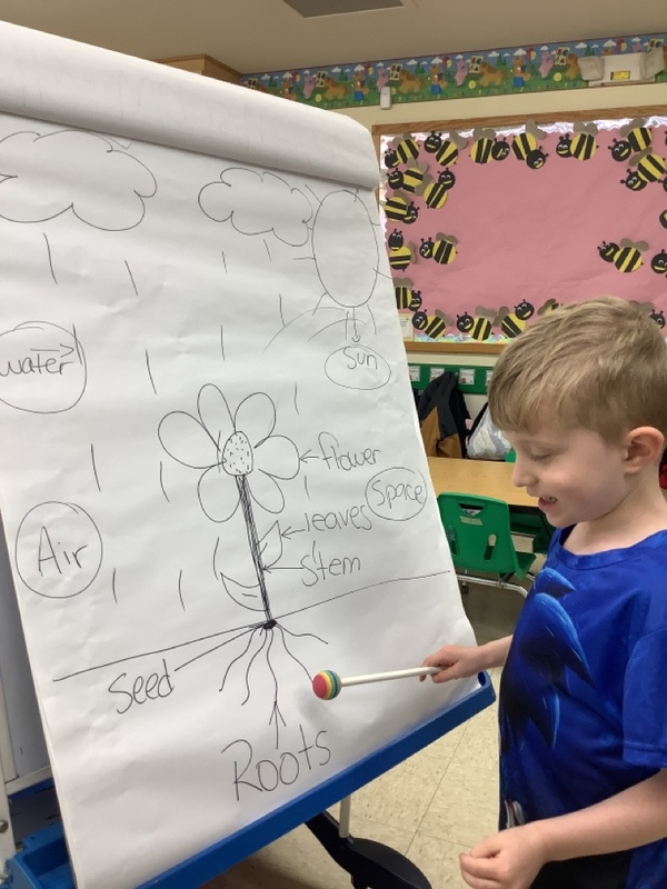 Learning About the Different Parts of Plants and What They Need to Live ...