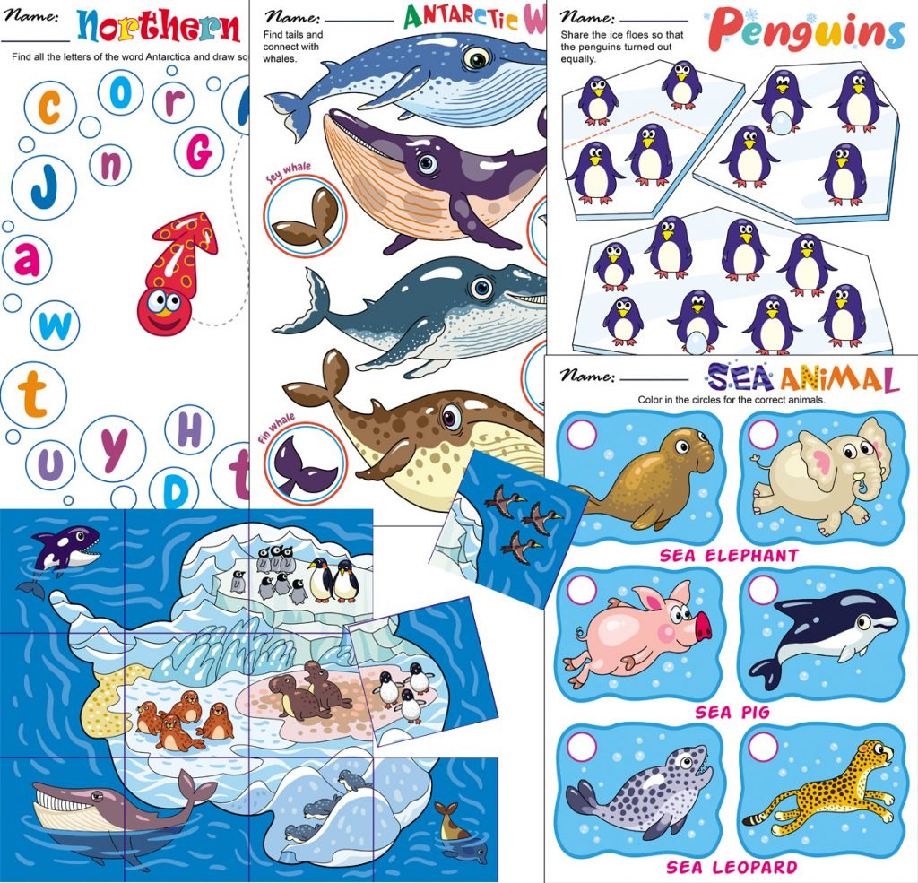 Antarctic Animals Worksheets. TeachersMag.com