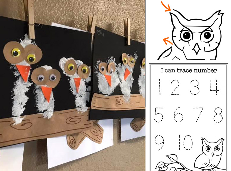 Owl Craft for Preschool Students. TeachersMag.com