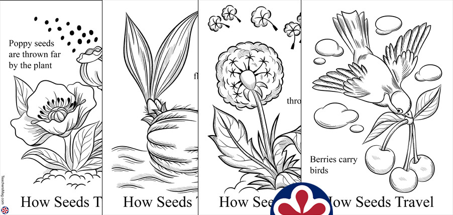 How Plants Travel Coloring Page for Preschoolers. TeachersMag.com