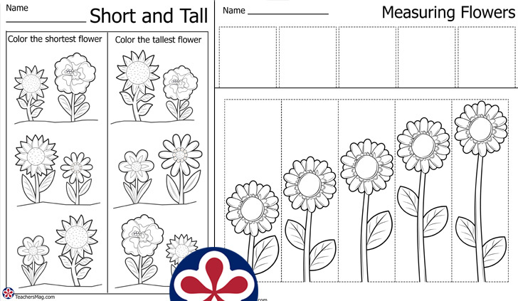 Flower Measurement Worksheets. TeachersMag.com