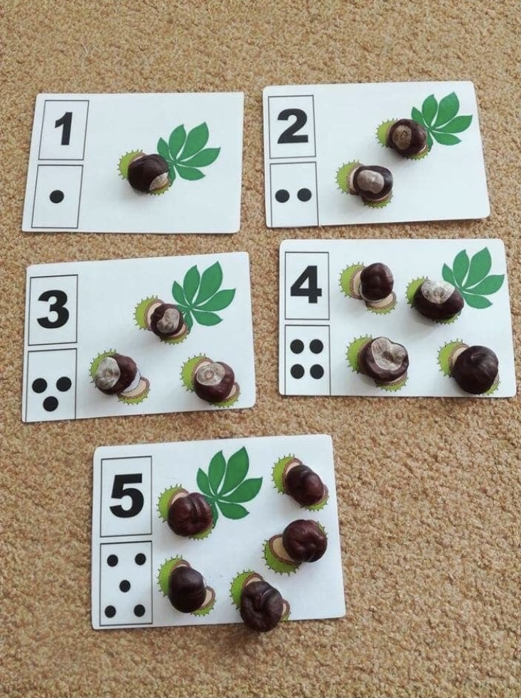 Fall Math Activities Using Chestnuts. TeachersMag.com