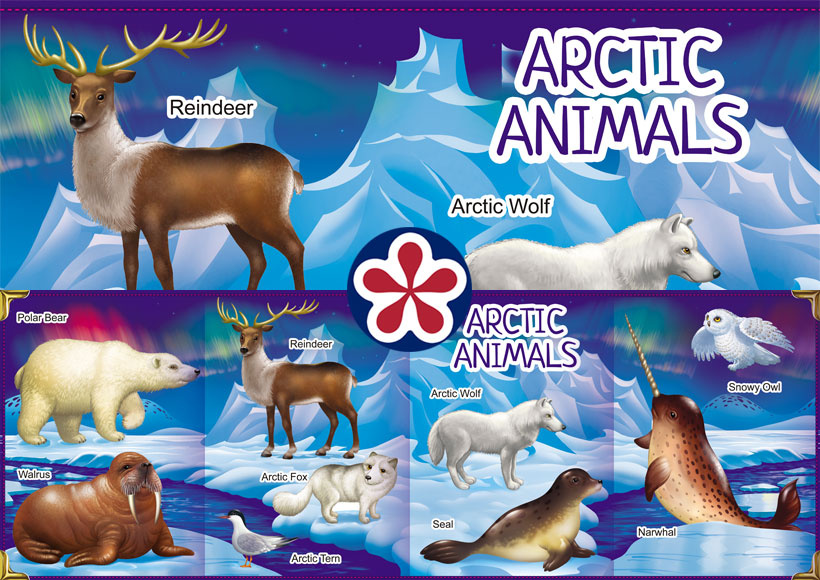 Arctic Animals Poster. TeachersMag.com