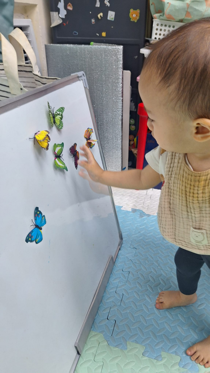 Spring - butterflies. TeachersMag.com