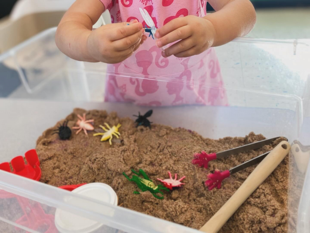 Bug Sensory & Color Sorting. TeachersMag.com
