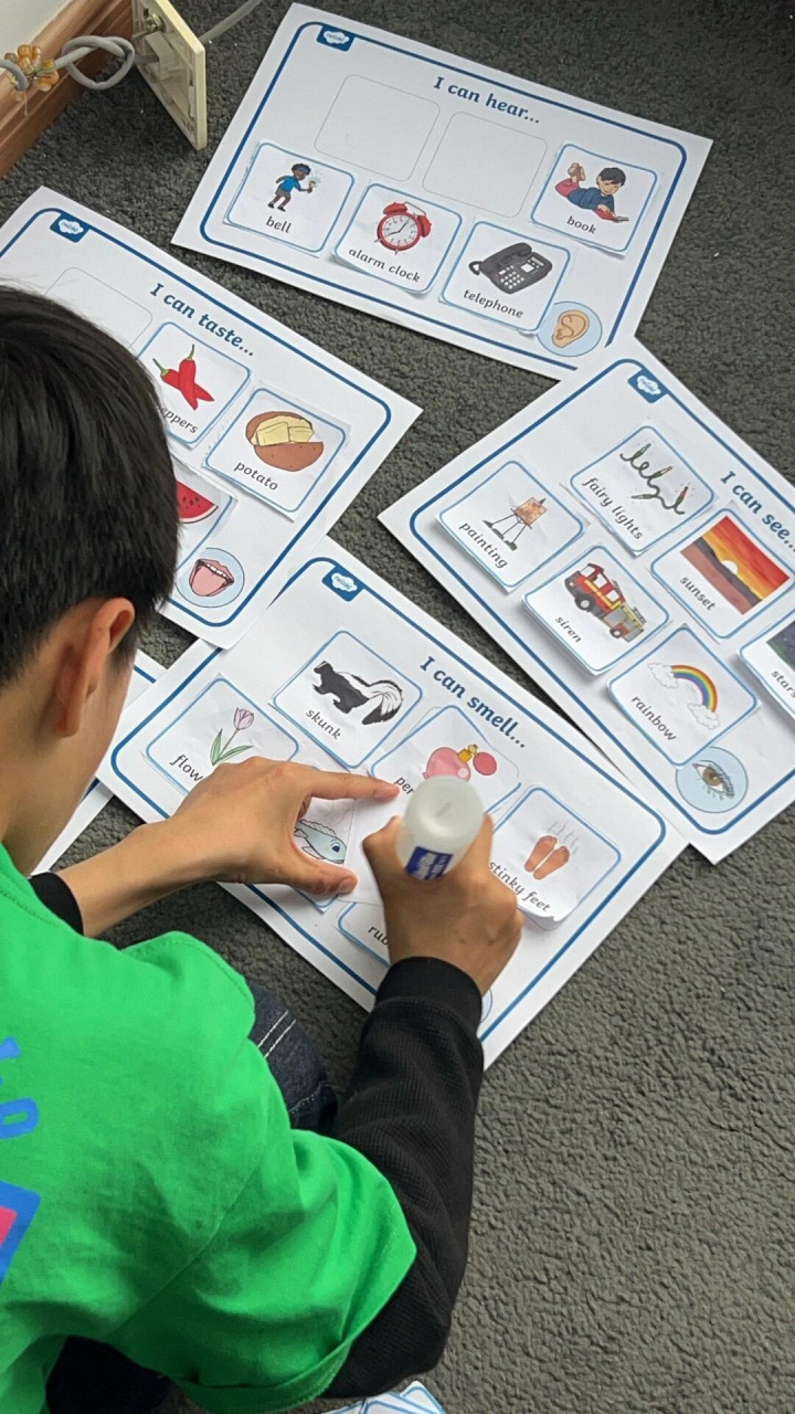 Body parts with five senses. TeachersMag.com