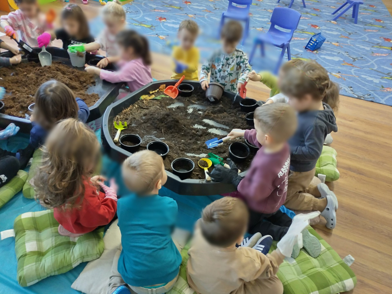 Plants and water. TeachersMag.com