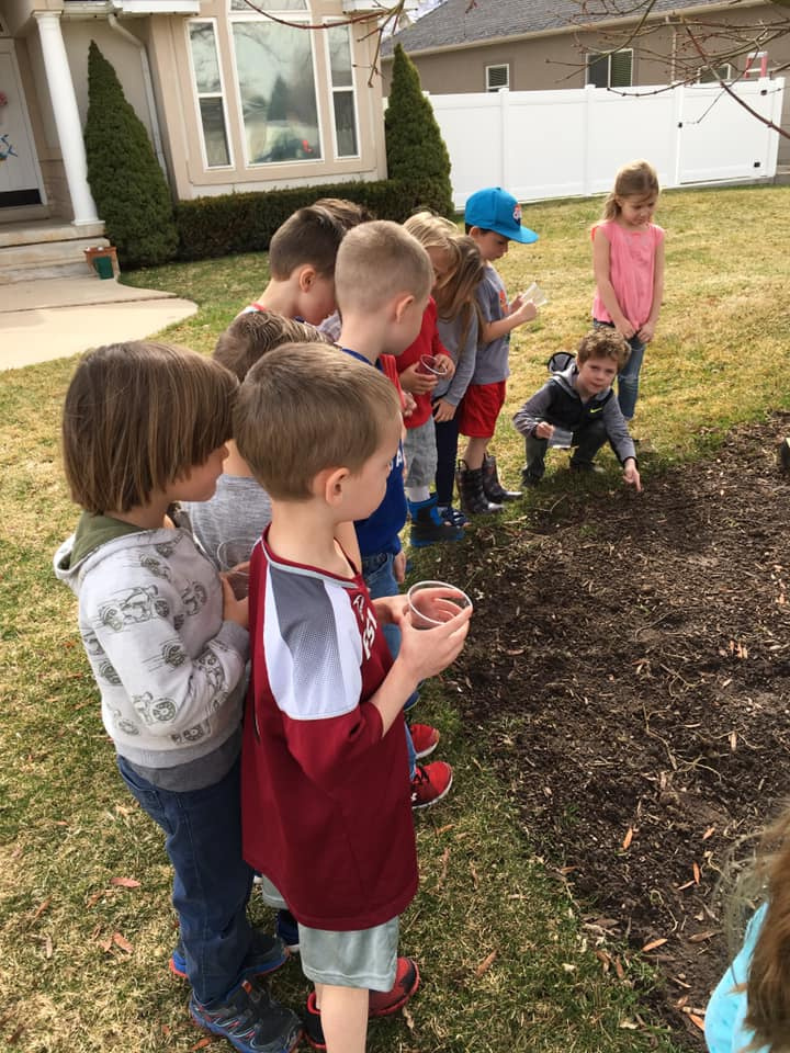 Planting Seeds Activity for Kids. TeachersMag.com
