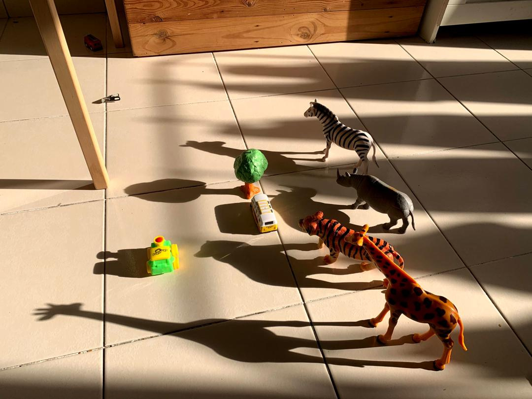 Observing the shadow when an object block light source. TeachersMag.com