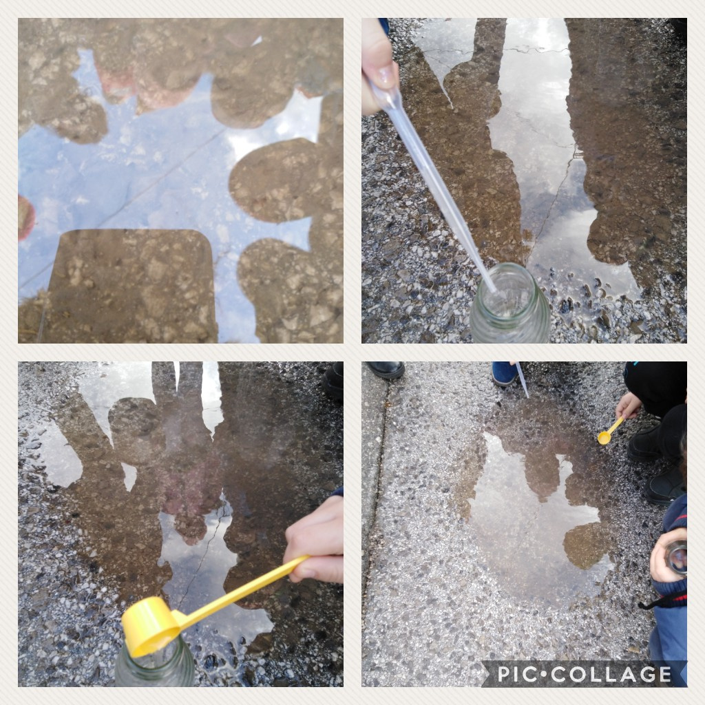 Water Pollution Science Activities. TeachersMag.com