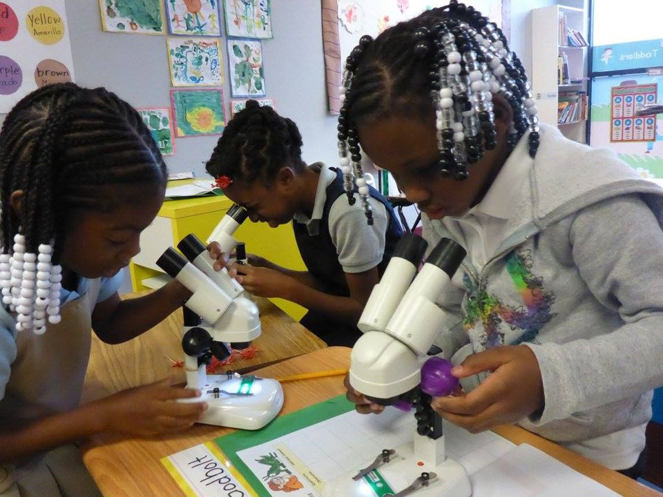 Studying Nature With Microscopes. TeachersMag.com