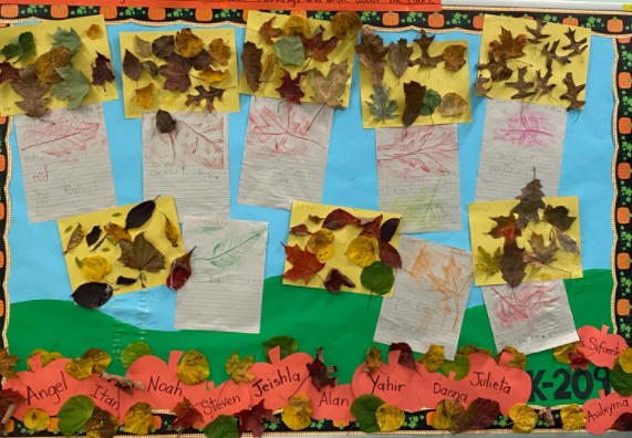 Bulletin Board. TeachersMag.com