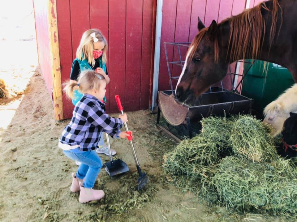 Learning About Community Service at the Farm. TeachersMag.com