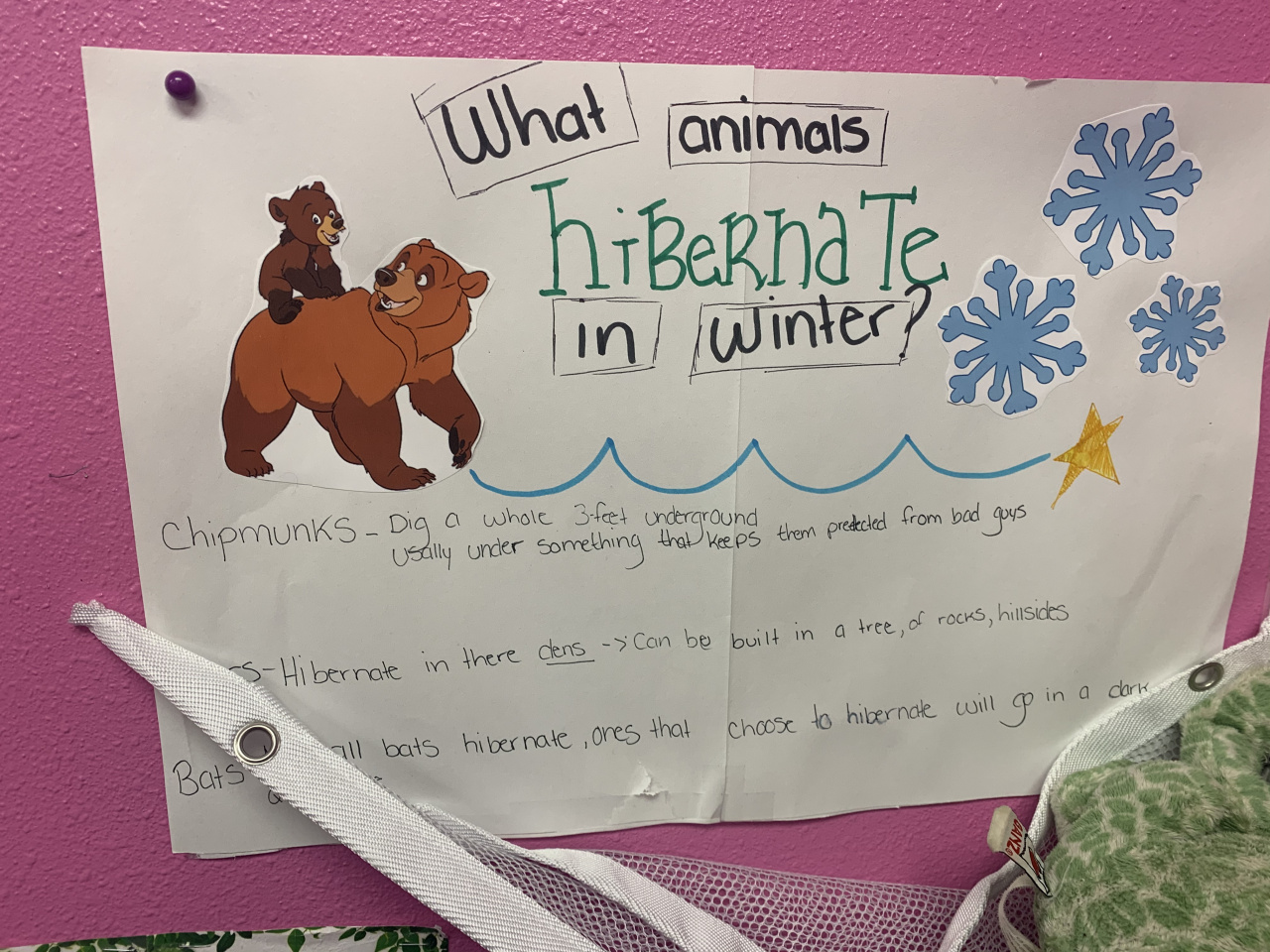 Hibernation Theme. TeachersMag.com