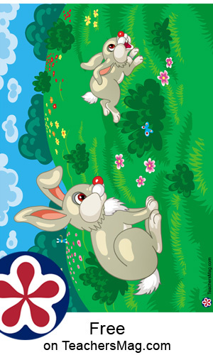 Wild Animals (and Their Babies) Theme for Pre-K, Preschool, and ...