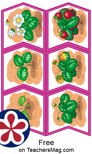 Worksheets for Putting Plants in Budding Order. TeachersMag.com
