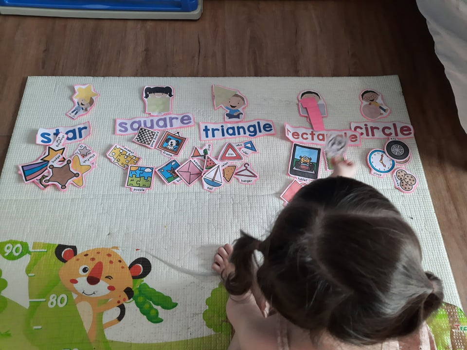 Chick Shapes Sorting Activity. TeachersMag.com