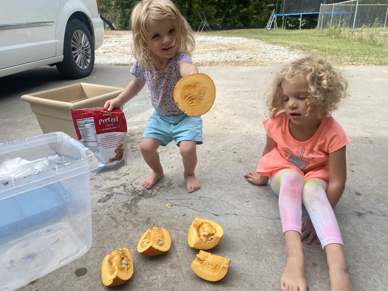 Pumpkin Jack book and life cycle experiment. TeachersMag.com