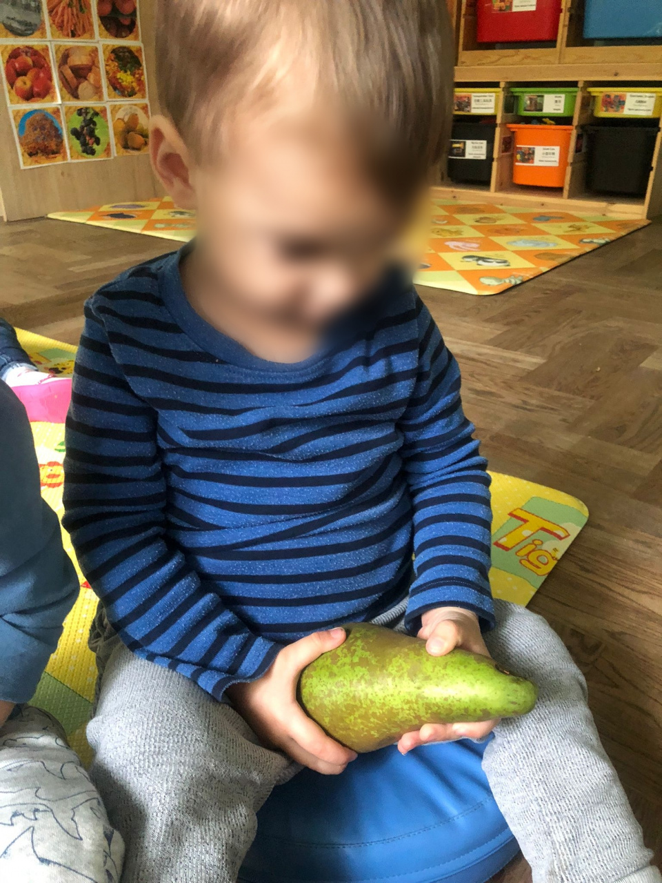 Fruits and Vegetable Sorting. TeachersMag.com