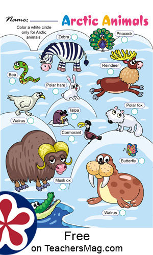 Polar Habitat Animals Printable