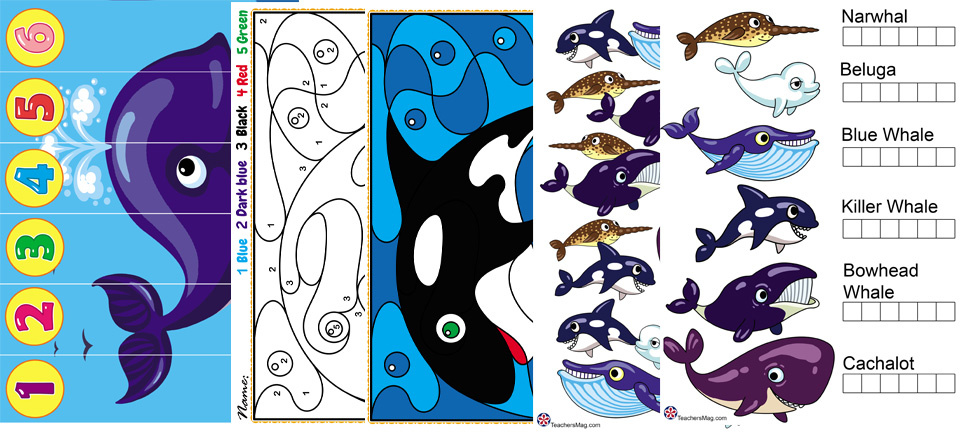 whale-worksheets-for-preschoolers-2. TeachersMag.com