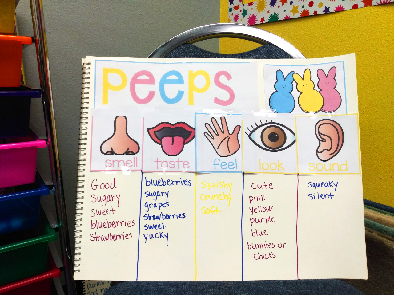 Five Senses Activities Crafts