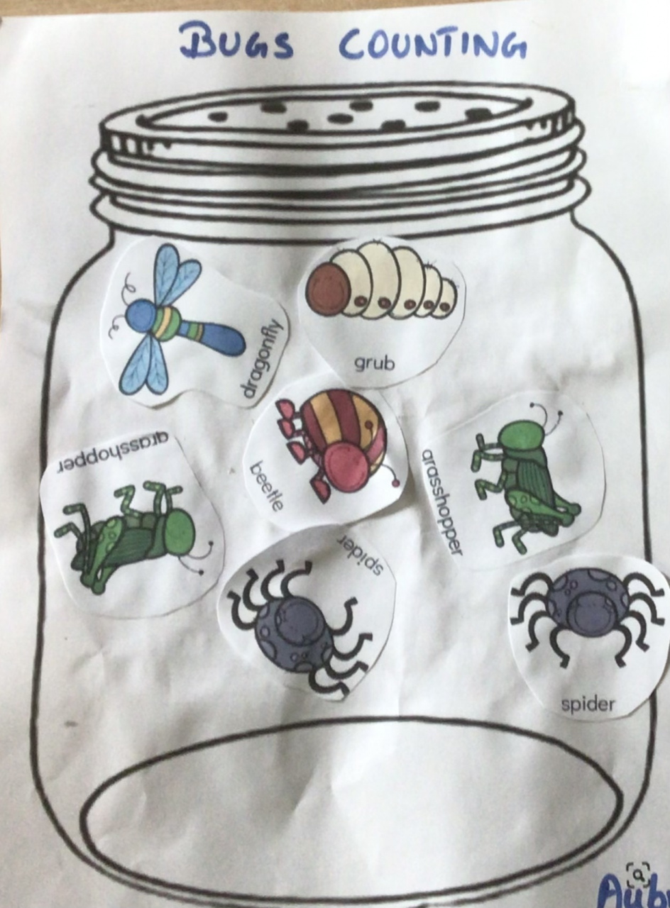 Learning About Bugs and their Homes. TeachersMag.com