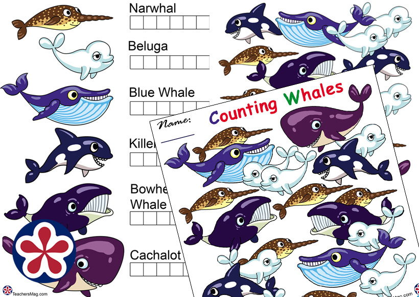 World Whale and Dolphin Day activities. Whales and cetaceans worksheets ...