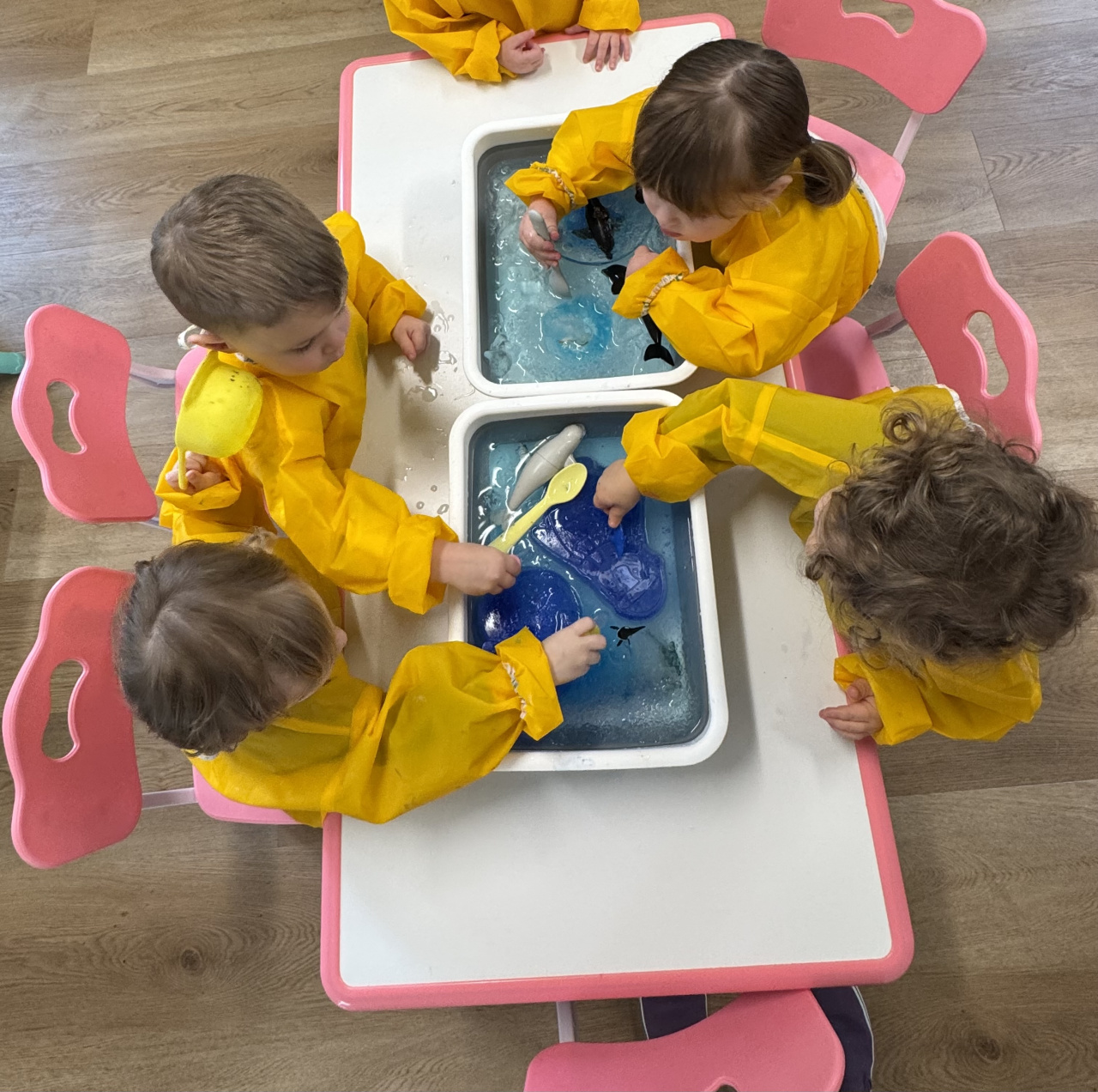 Arctic Animals Sensory Exploration. TeachersMag.com