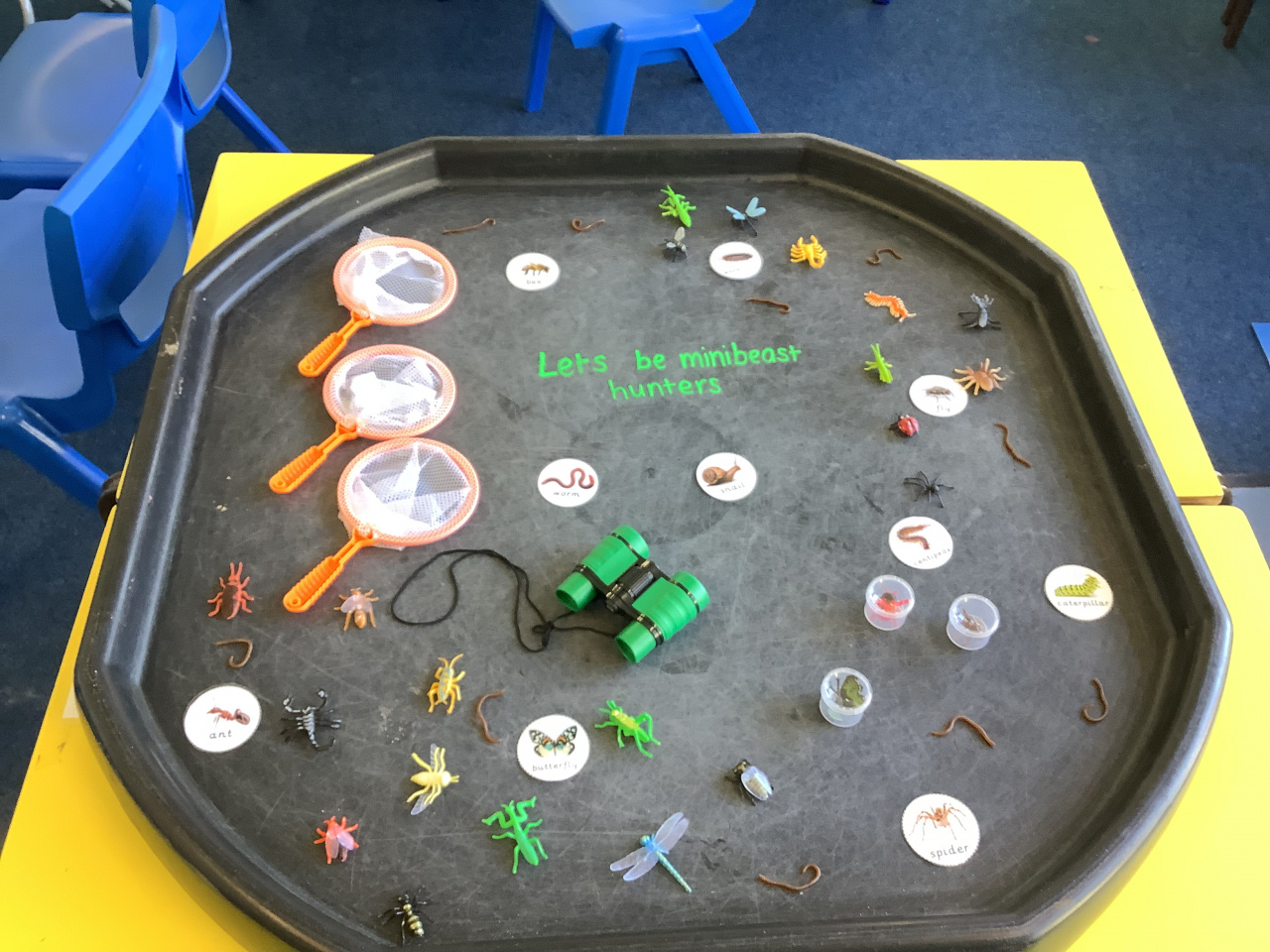 Minibeast hunt using model minibeasts. TeachersMag.com